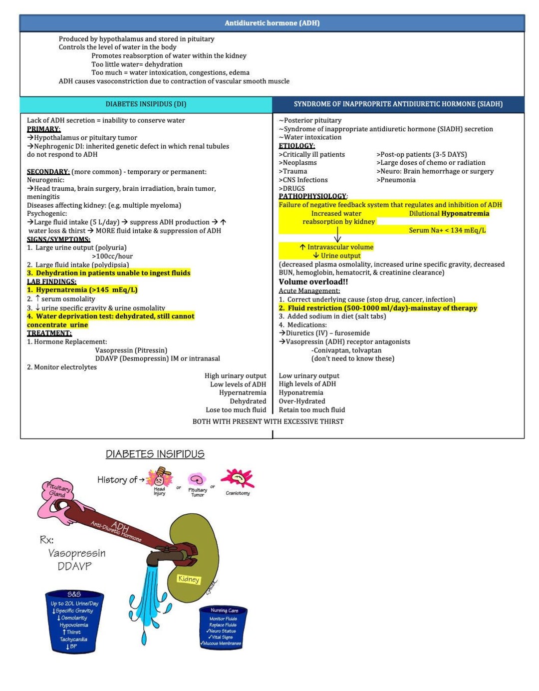 Antidiuretic Hormone/nursing School/nursing Study Guide/ Nursing ...