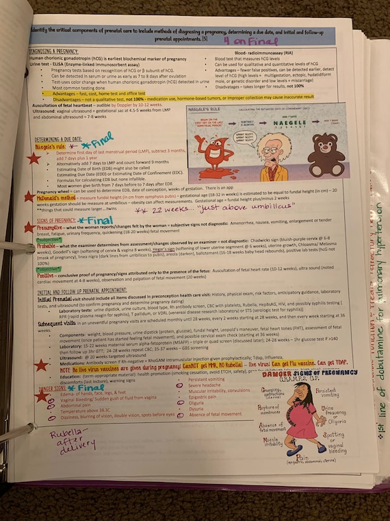 Antepartum Intrapartum Newborn & OB Drug Cards: | Etsy