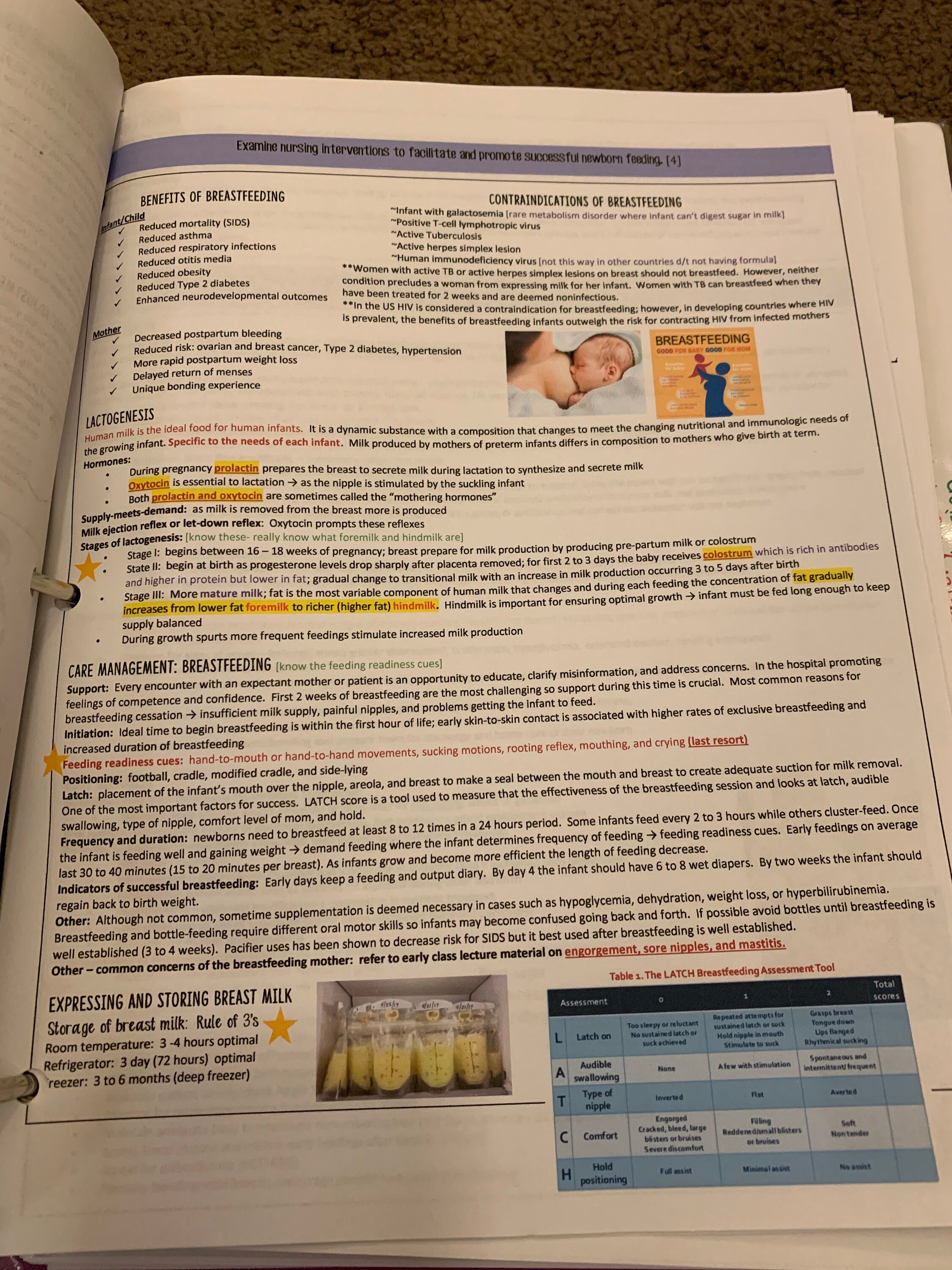 Antepartum, Intrapartum, Newborn, & OB Drug Cards: Maternity/obstetrics ...