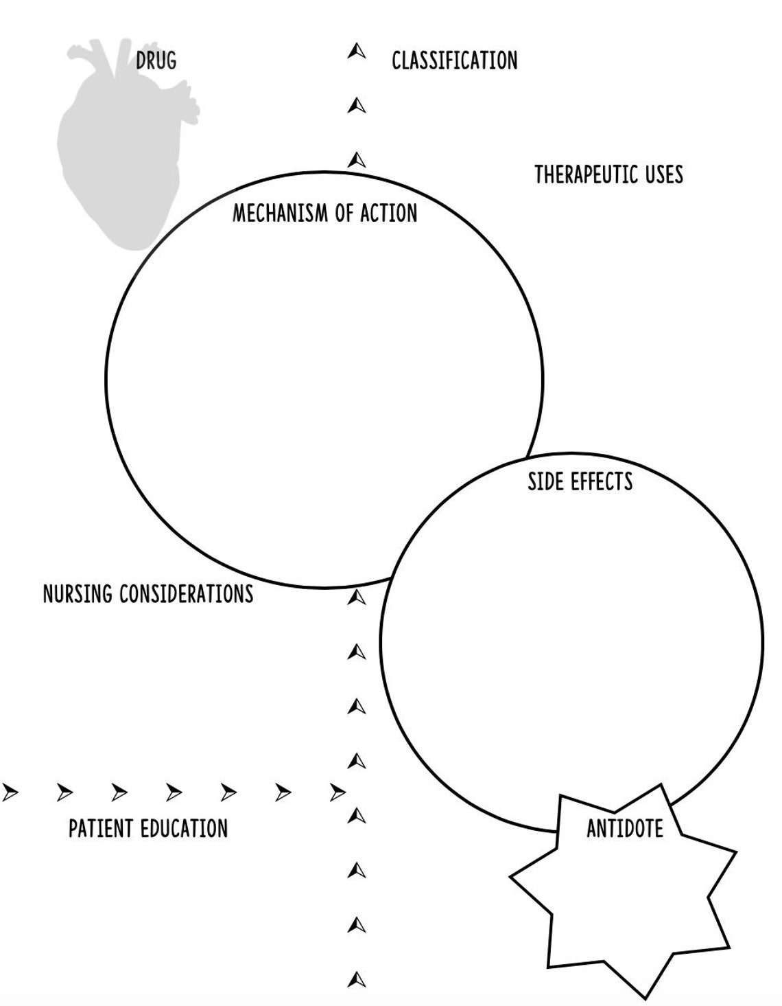 Cardiac Pharmacology Note-taking Template/nursing - Etsy