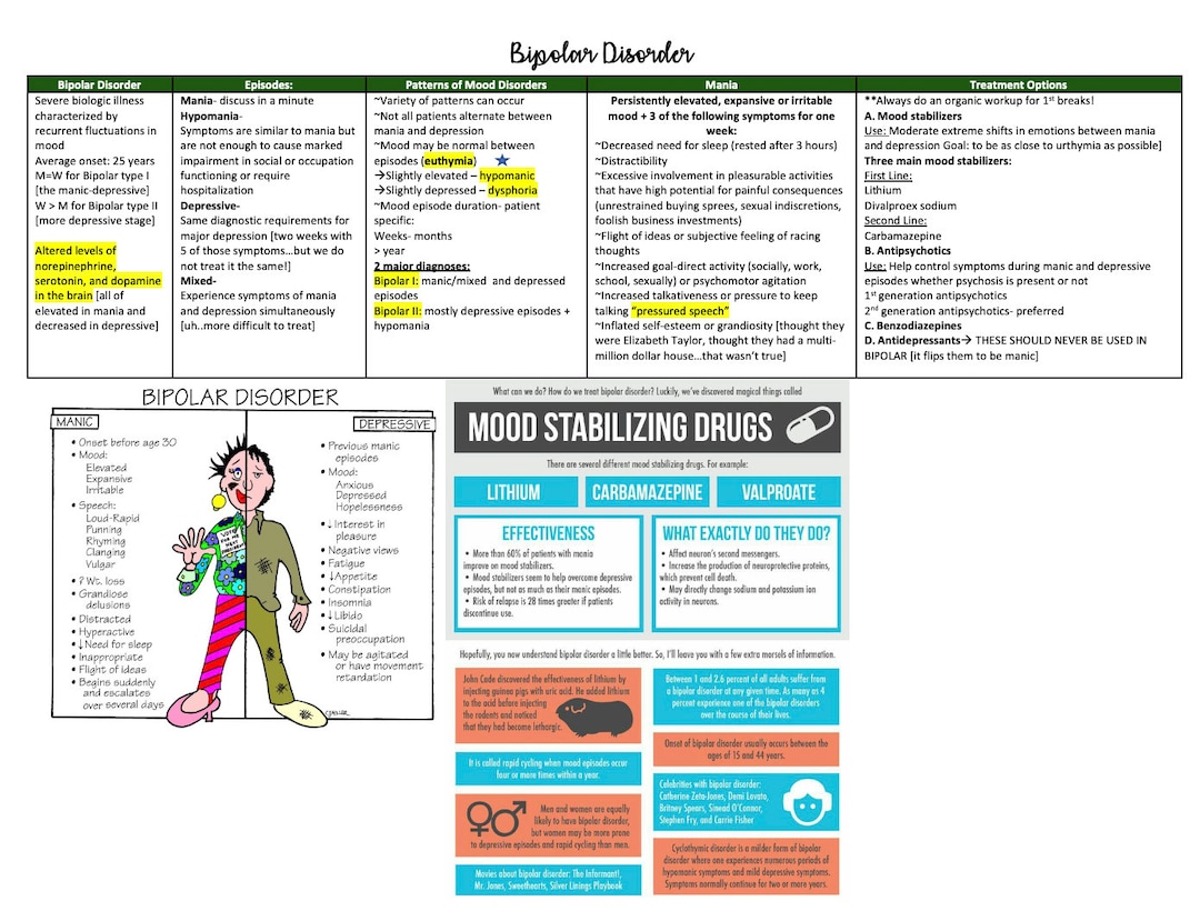Bipolar Disorder/mental Health Study Guides/ Drugs/ Nursing School ...