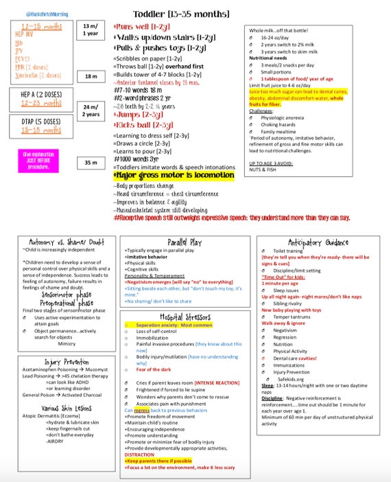 Toddler Overview: Pediatric Nursing Study Guide | Etsy