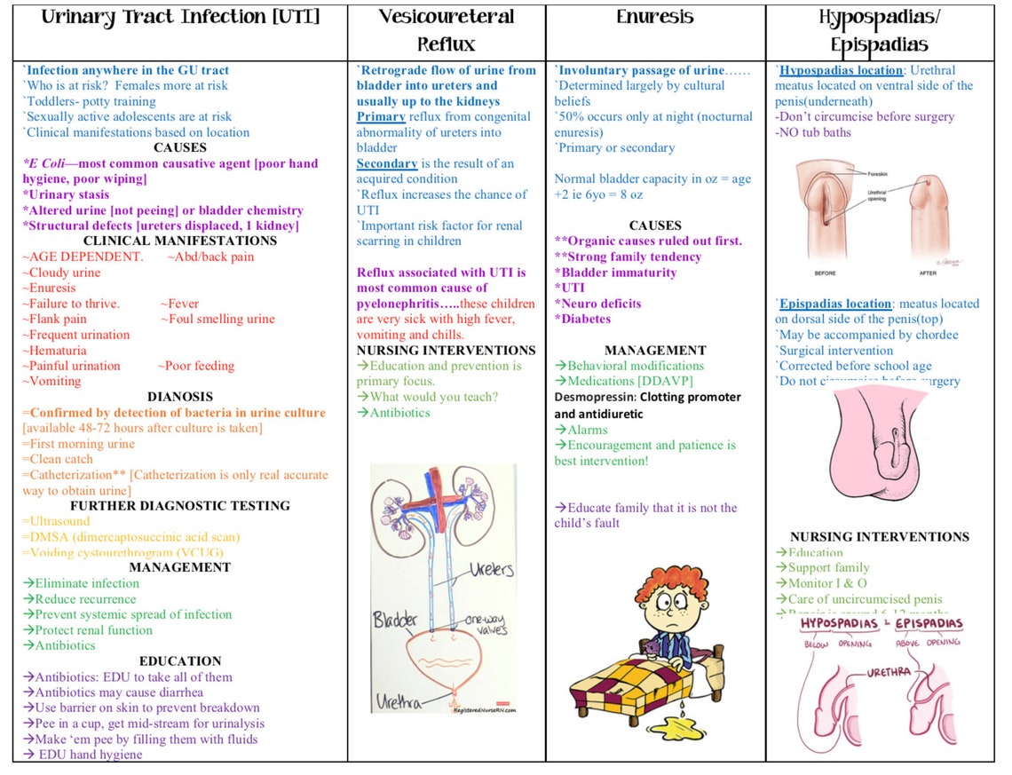 Pediatric Module Three: Pediatric Nursing Study Guide - Etsy