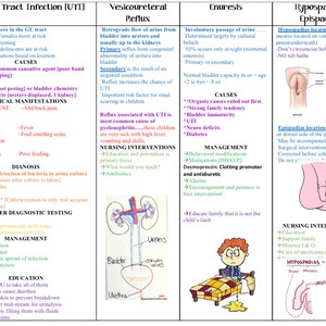 Pediatric Module Three: Pediatric Nursing Study Guide - Etsy