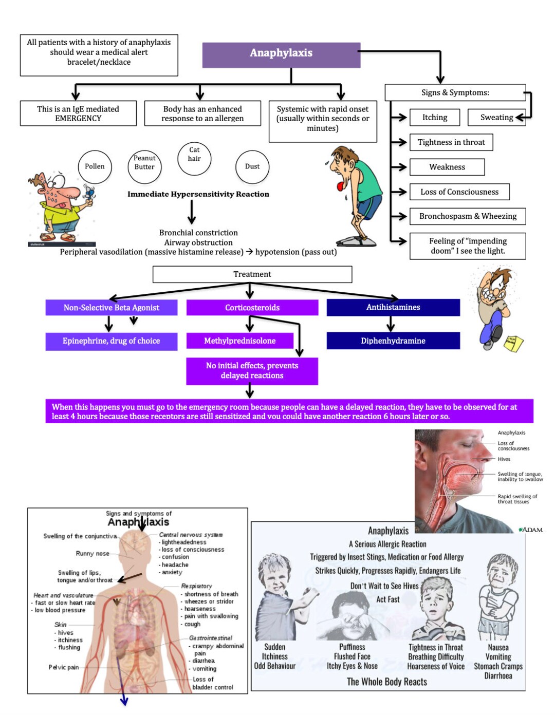 Anaphylaxis/ventilation/asthma/copd/allergic Rhinitis/tb/pneumonia ...