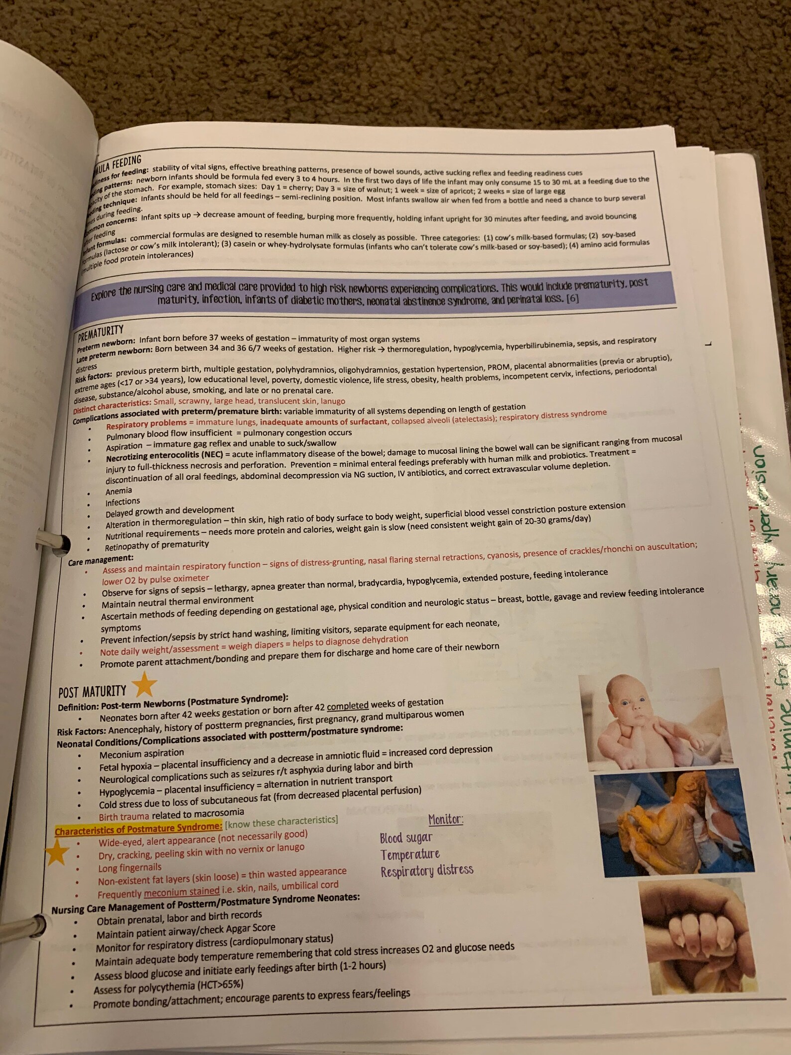 Antepartum, Intrapartum, Newborn, & OB Drug Cards: Maternity/obstetrics ...