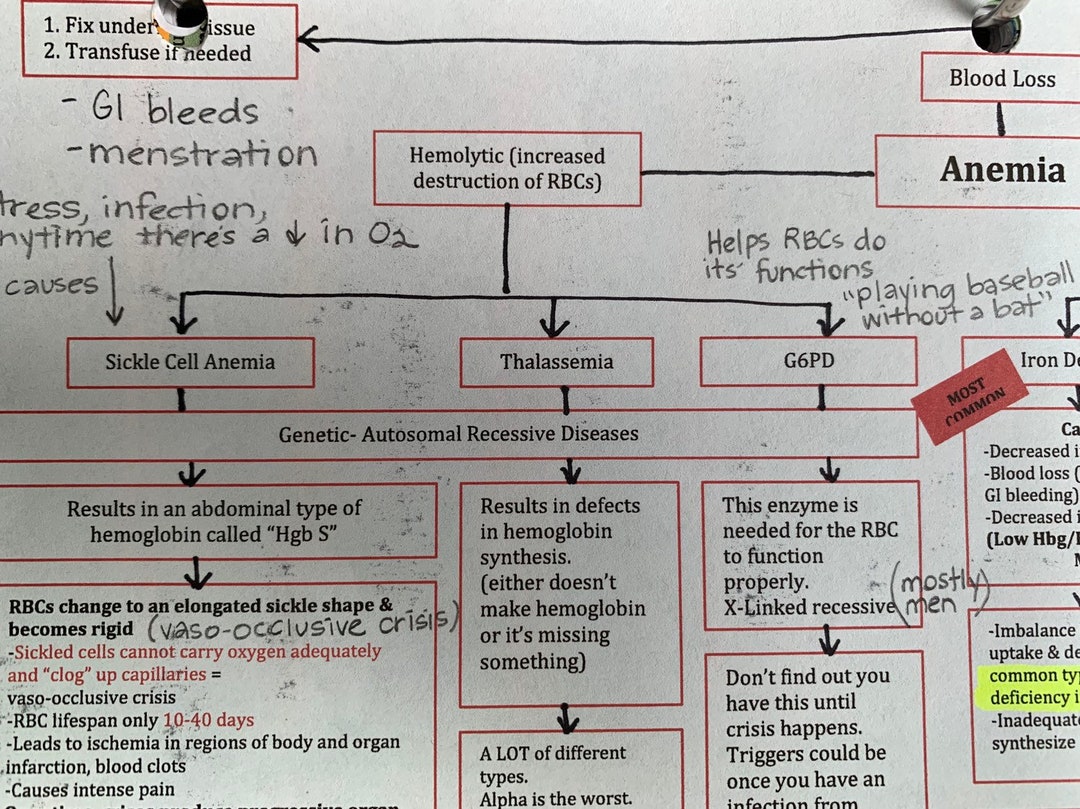 Transport and Anemia Study Guides/drug Cards/ Study Cards/ Nursing ...