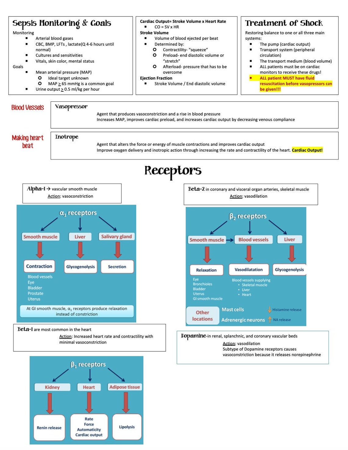Sepsis Goals & Receptors: SHOCK Nursing Student Study Guide - Etsy