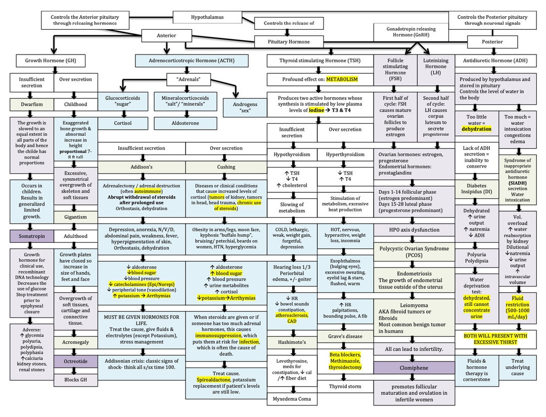 Hormone Chart/nursing School/nursing Study Guide/ Nursing Student ...