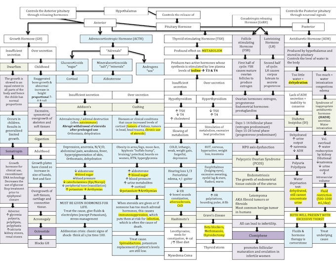GI Disorders Chart | GI Disorders | GI System - Etsy Canada