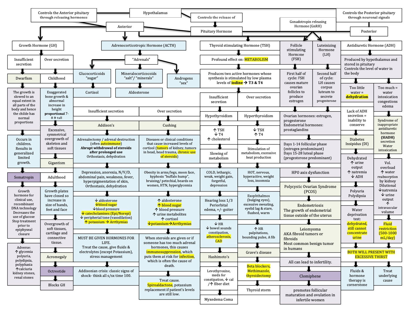 Hormone Chart/nursing School/nursing Study Guide/ Nursing Student ...