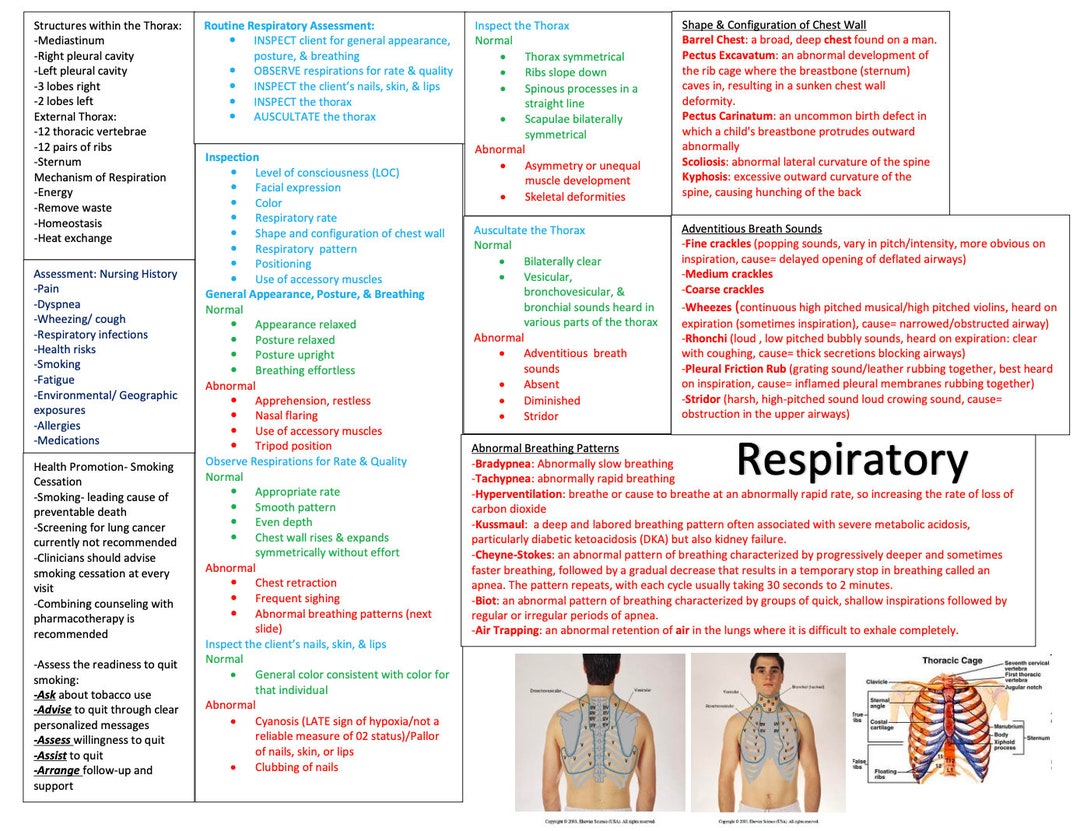 Respiratory Assessment Form Standardized VTE Risk Assessment And