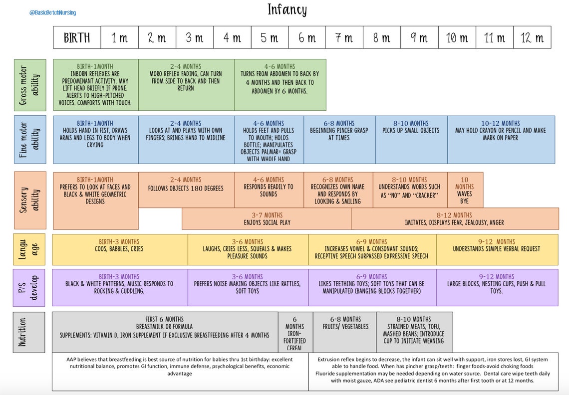 Infancy Milestones: Pediatric Nursing Study Guide - Etsy
