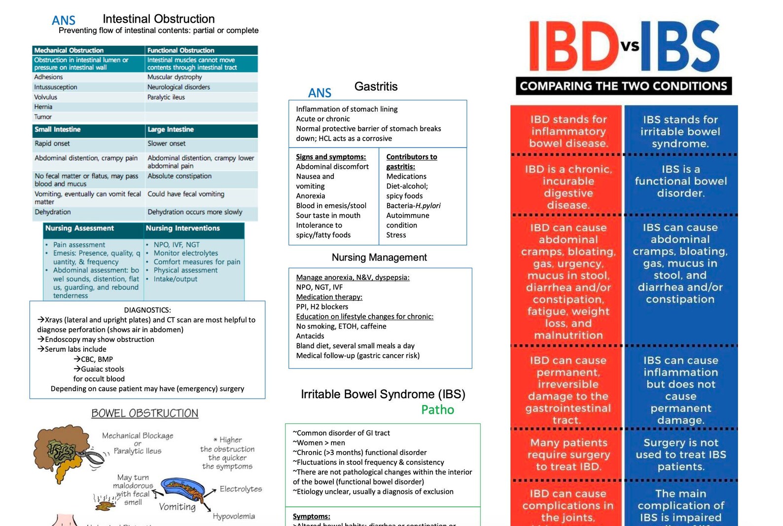 Intestinal Obstruction / IBS / Gastritis Overview GI | Etsy