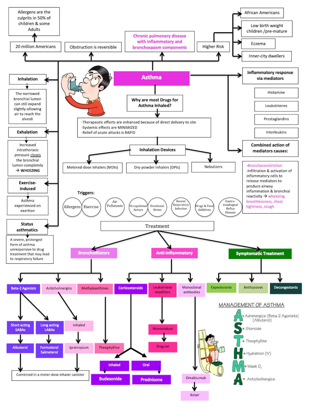 Asthma Treatment/ventilation/asthma/copd/allergic Rhinitis/tb/pneumonia/ Nursing School/ Nursing ...