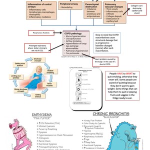 COPD Overview/ventilation/asthma/copd/tb/pneumonia/nursing School/ Nursing Study Guide/nursing ...