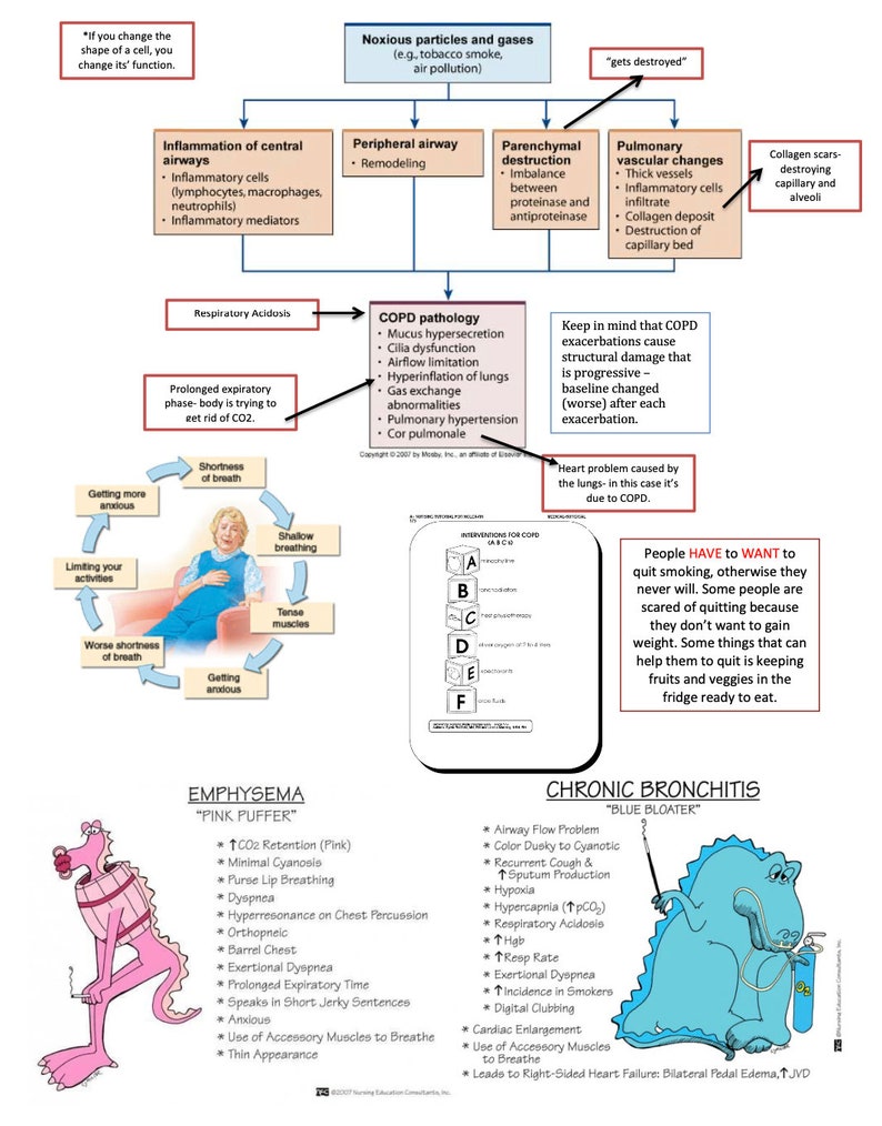 COPD Overview/ventilation/asthma/copd/tb/pneumonia/nursing | Etsy