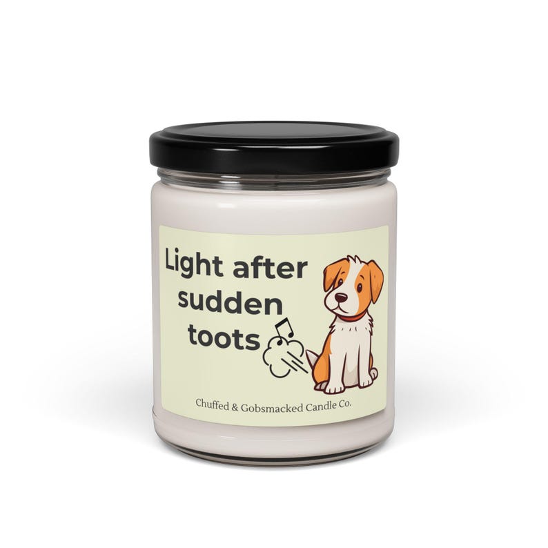 Light After Sudden Toots Funny Gift Scented Candle | 9oz Soy Jar With ...
