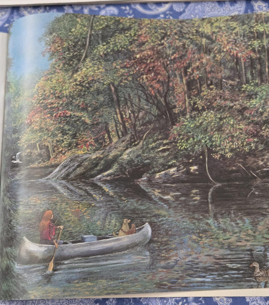 A River Ran Wild by Lynne Cherry: 1992 Paperback - Etsy