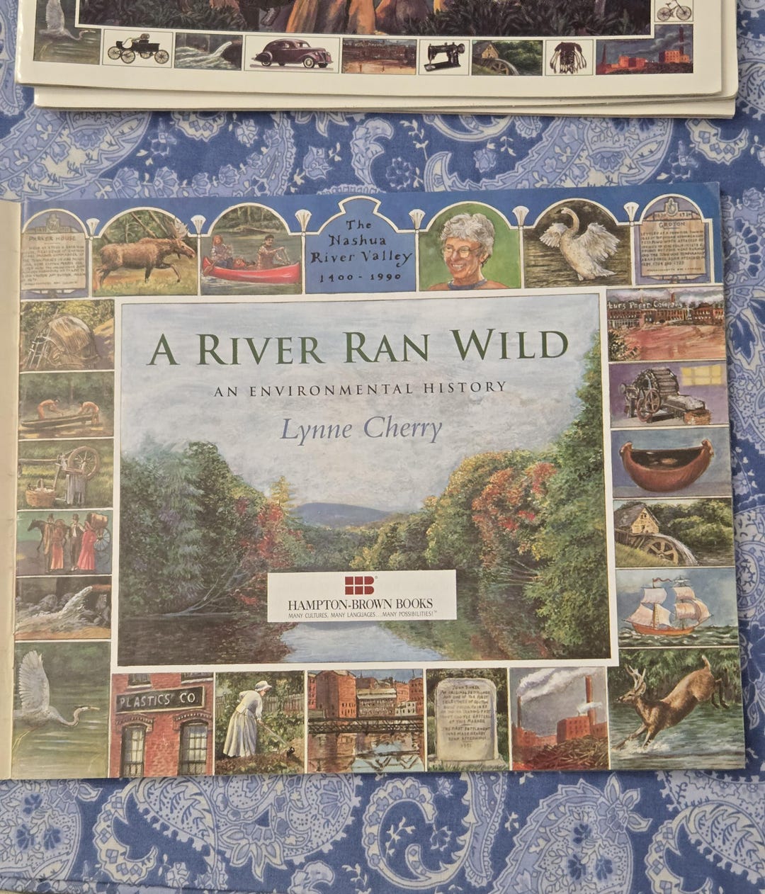 A River Ran Wild by Lynne Cherry: 1992 Paperback - Etsy