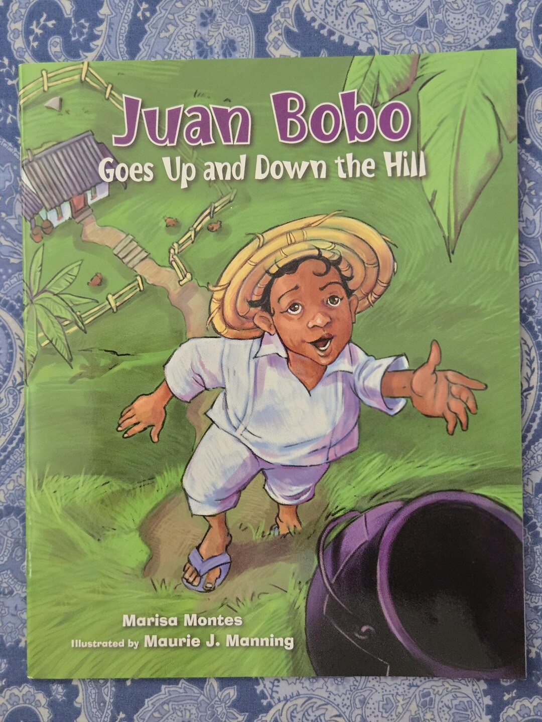 Juan Bobo Goes up and Down the Hill A Puerto Rican Folk Tale by Marisa ...