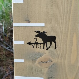 Growth Chart - Moose Height Marking Arrows for Growth Charts |height ...