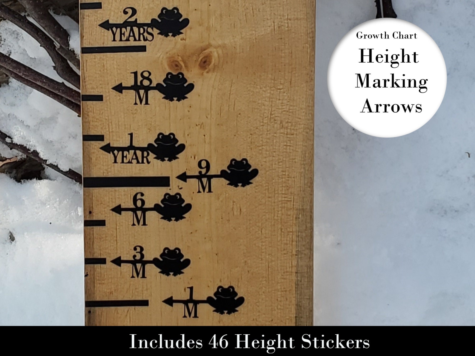 Frog Printable Wall Growth Chart