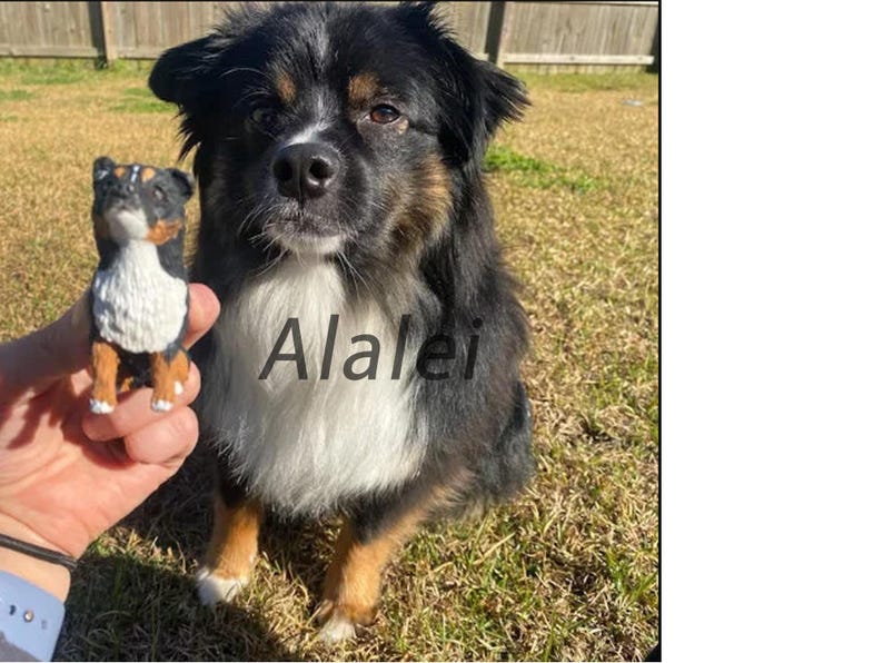 Personalized Pet Cake Topper: Custom Dog & Cat Wedding Decoration ...