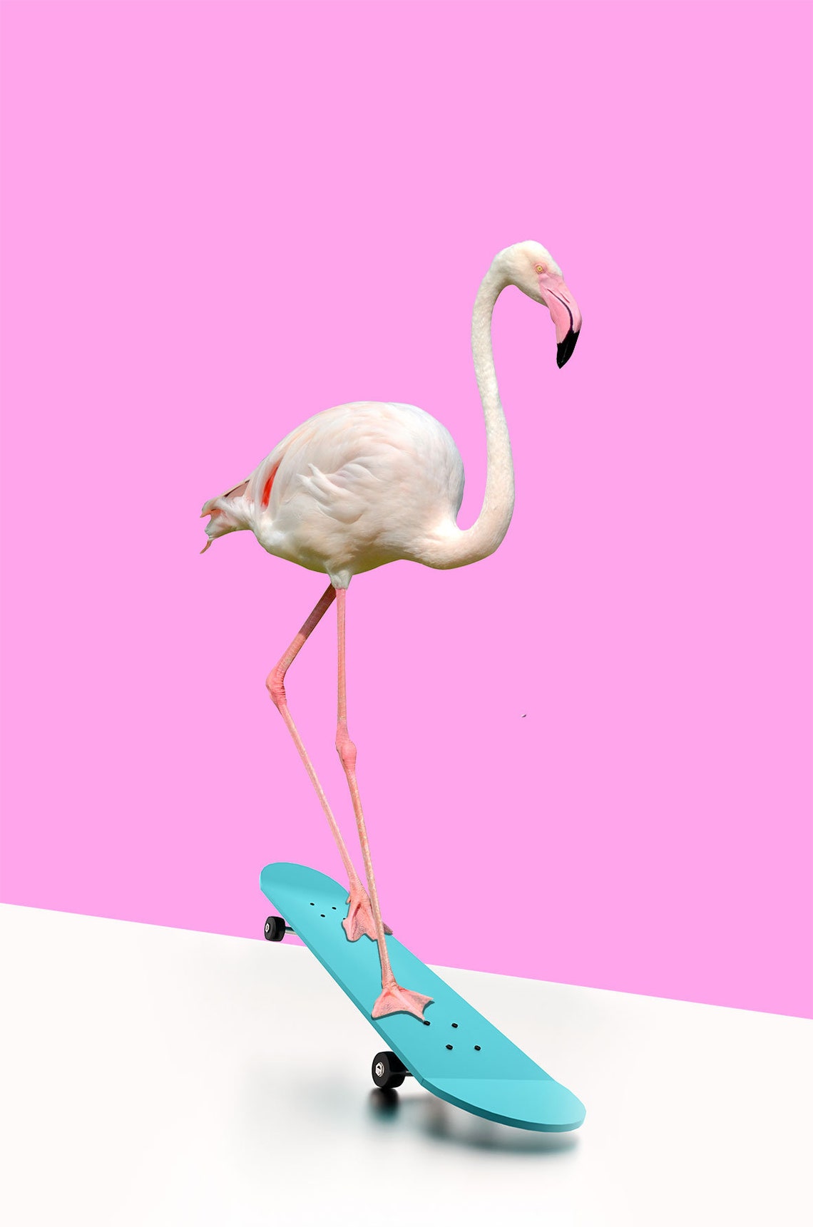 Funky Flamingos PRINTABLE Posters Colorful Cute Modern Prints - Etsy