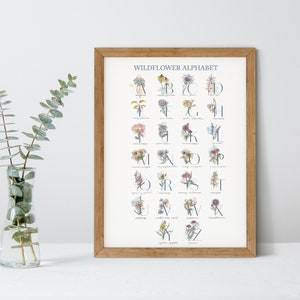 Wildflower Alphabet Poster - Etsy