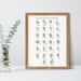 Wildflower Alphabet Poster - Etsy
