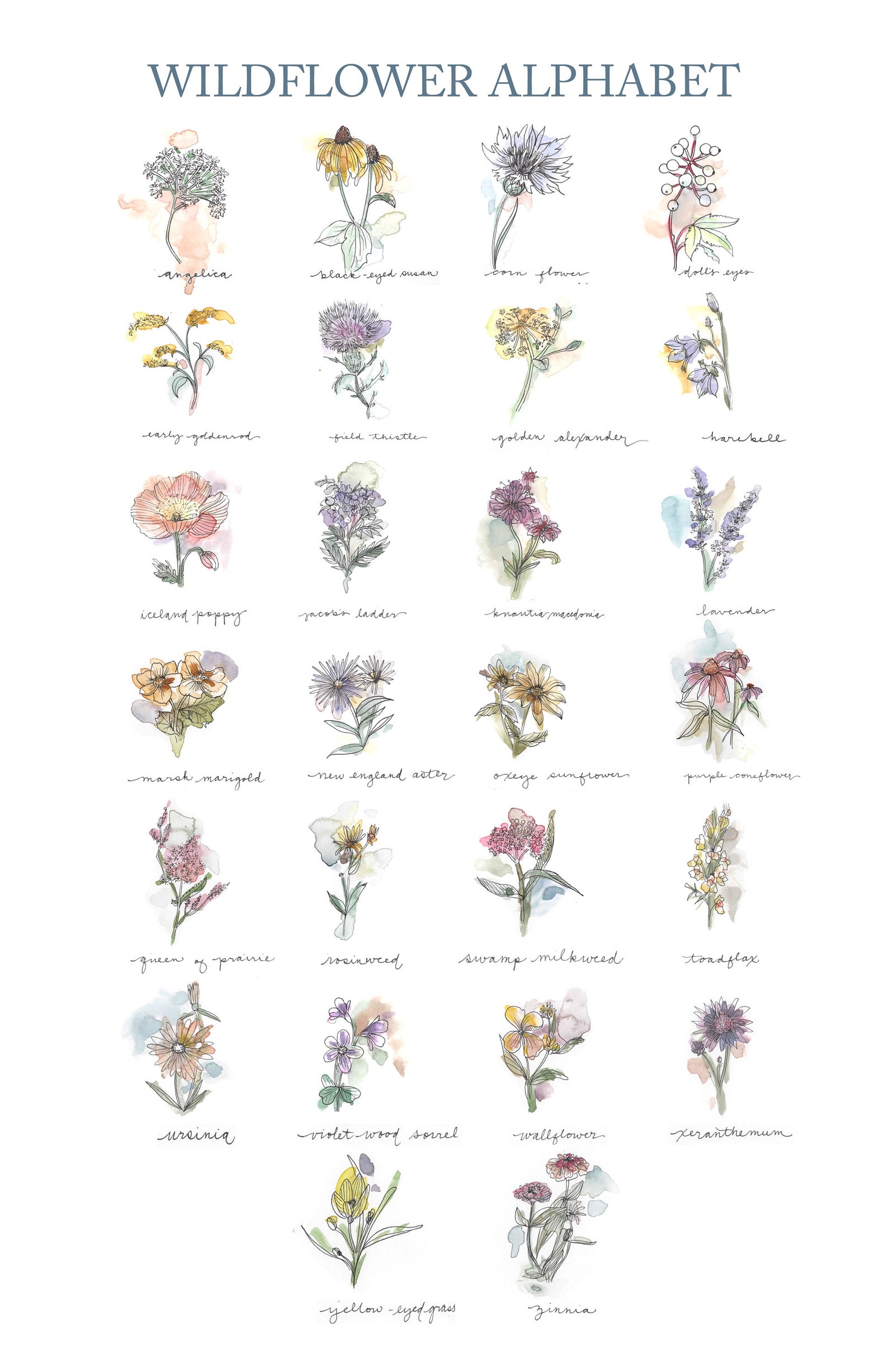 Wildflower Alphabet Poster | Etsy