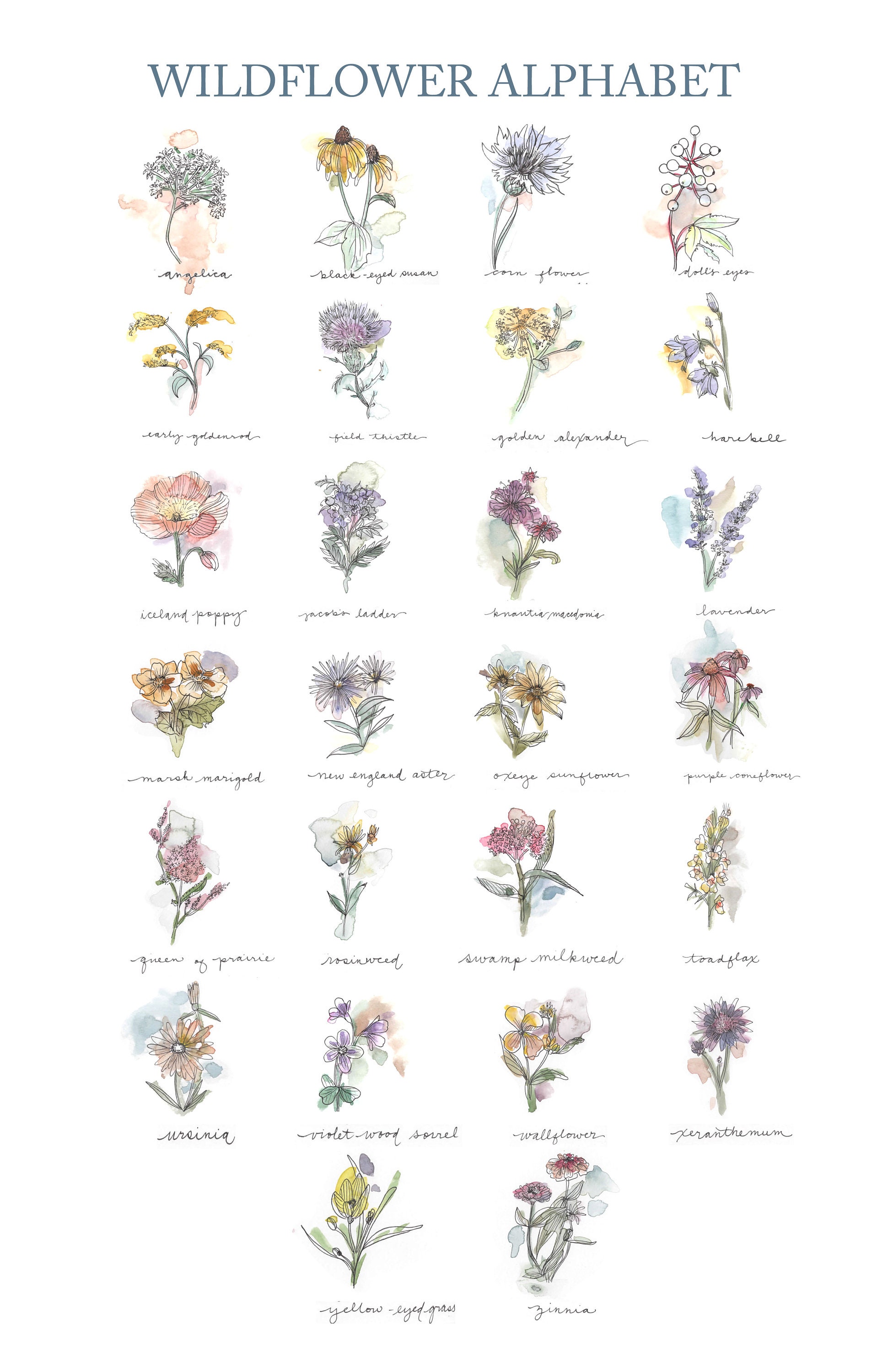 Wildflower Alphabet Poster - Etsy