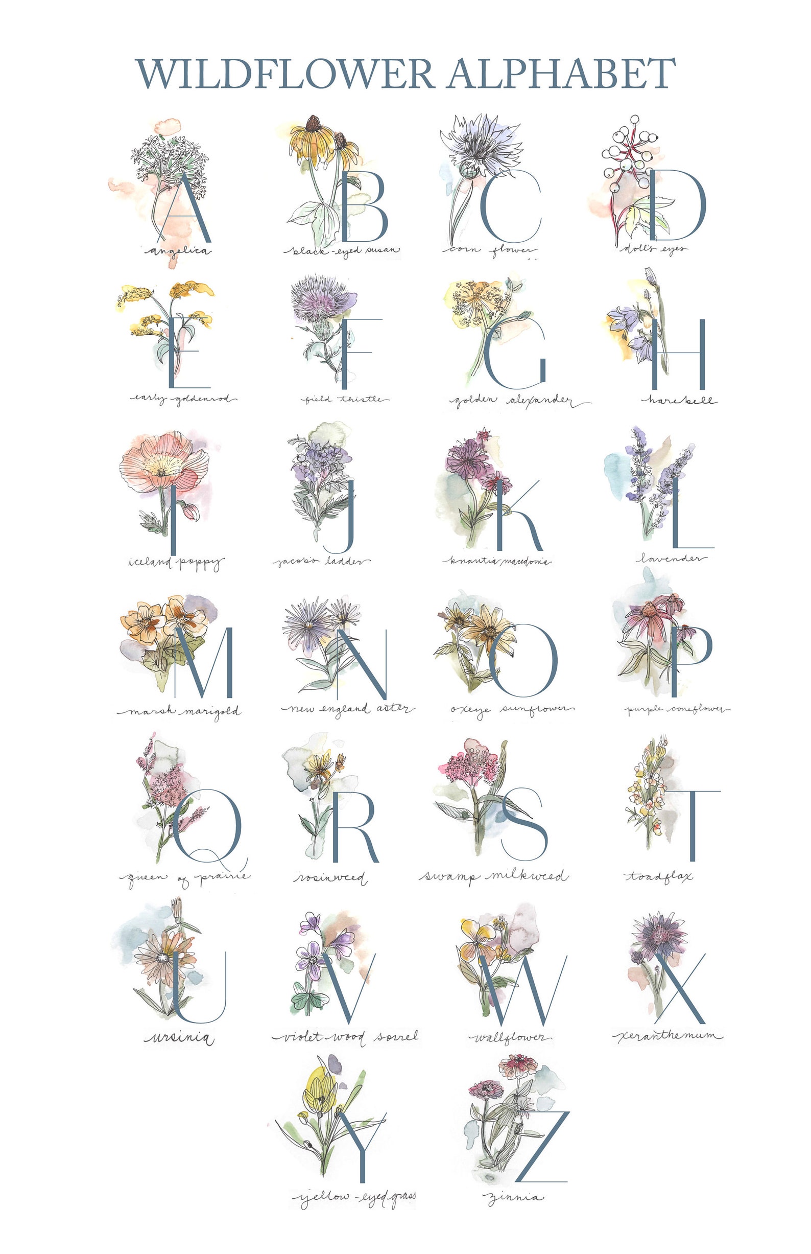 Wildflower Alphabet Poster | Etsy