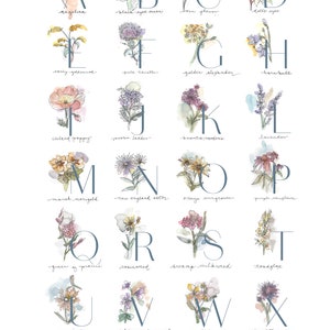 Wildflower Alphabet Poster - Etsy