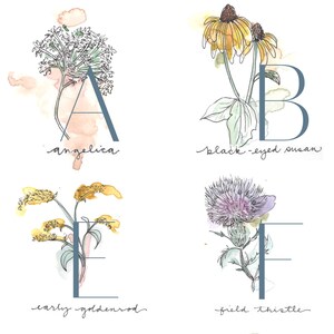 Wildflower Alphabet Poster - Etsy