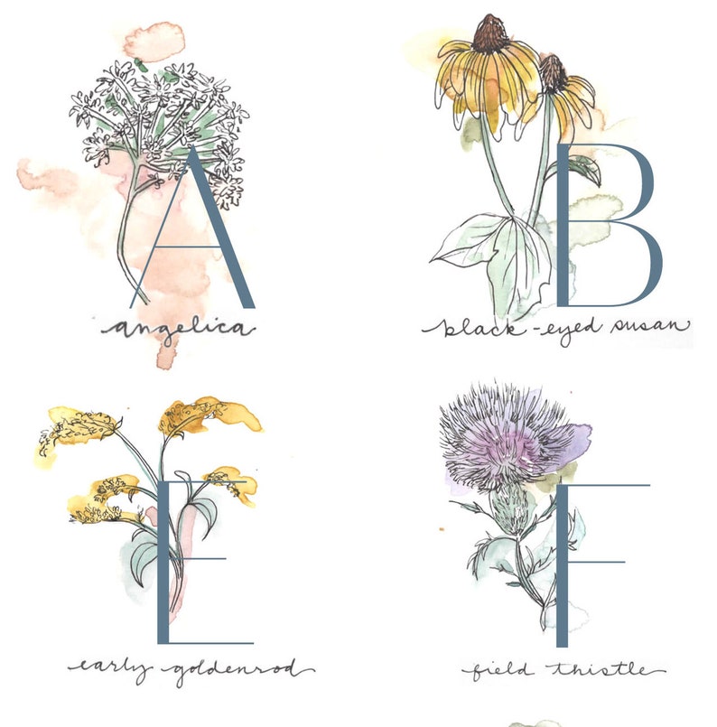 Wildflower Alphabet Poster - Etsy