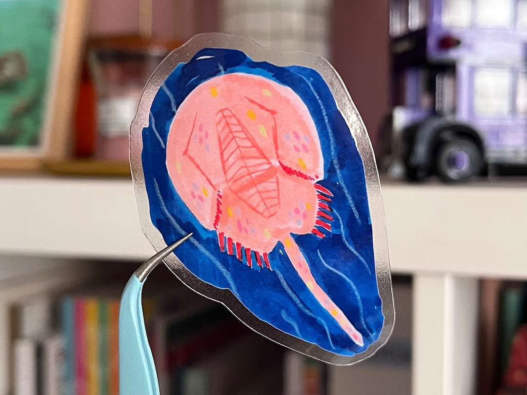 Colorful Horseshoe Crab Sticker Waterproof Vinyl Decal With Clear ...