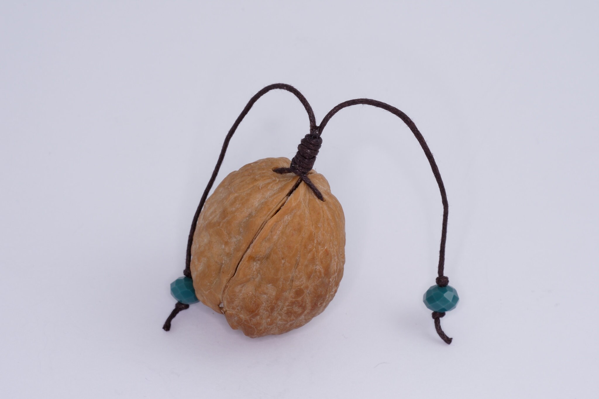 Walnut Shell Box Cute Walnut Shellcasewalnut Box Walnut - Etsy UK