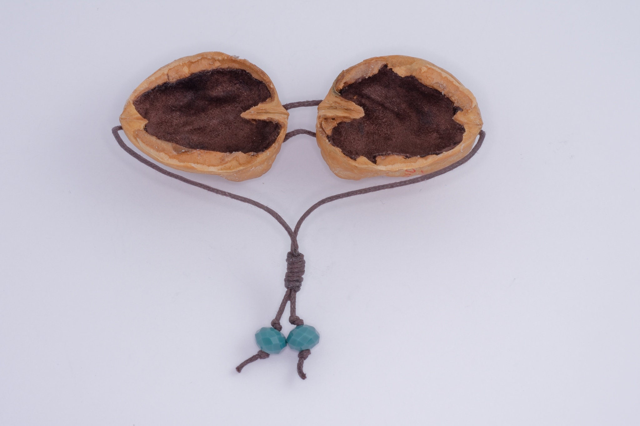 Walnut Shell Box Cute Walnut Shellcasewalnut Box Walnut - Etsy UK