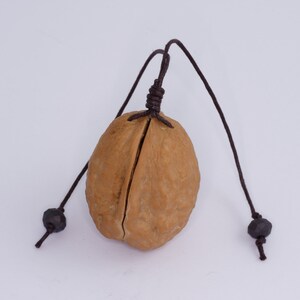 Walnut Shell Box, Walnut Proposal Ring Box, Cute Walnut Shell Case ...