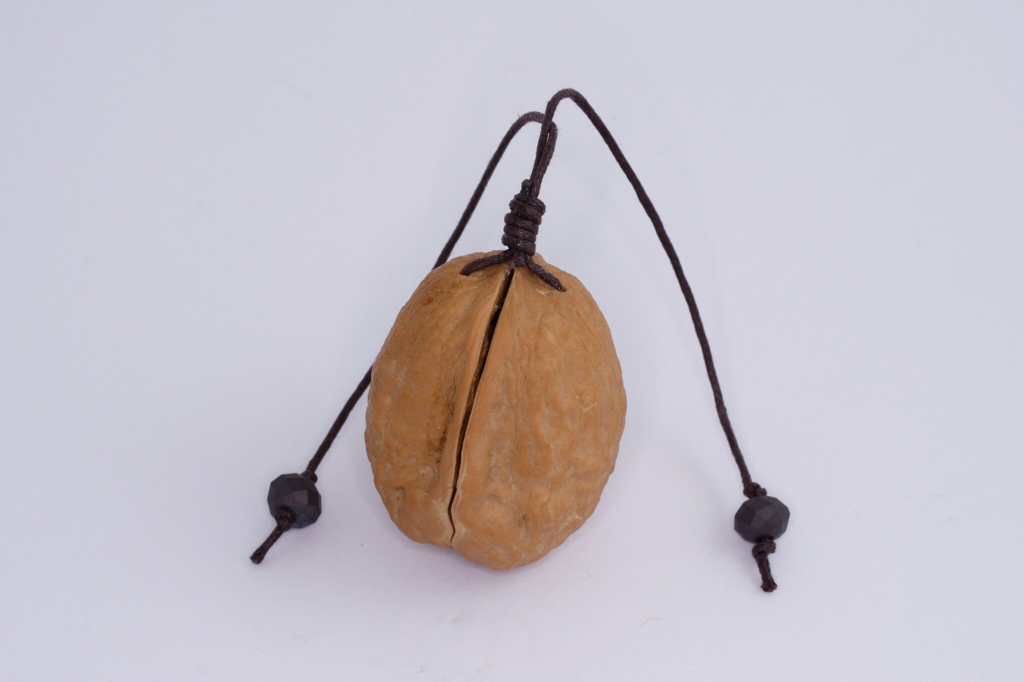 Walnut Shell Box Cute Walnut Shellcasewalnut Box Walnut - Etsy UK