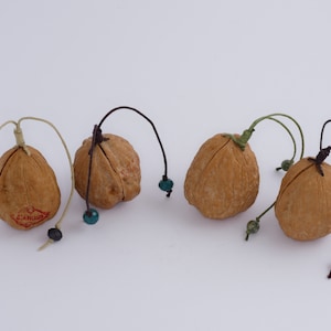 Walnut Shell Box, Cute Walnut Shell,case,walnut Box, Walnut Trinket Box ...