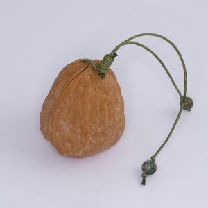 Walnut Shell Box, Walnut Proposal Ring Box, Cute Walnut Shell Case ...