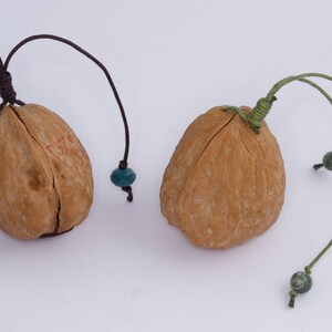 Walnut Shell Box, Walnut Proposal Ring Box, Cute Walnut Shell Case ...