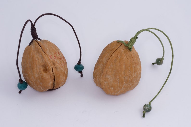 Walnut Shell Box Cute Walnut Shellcasewalnut Box Walnut - Etsy UK