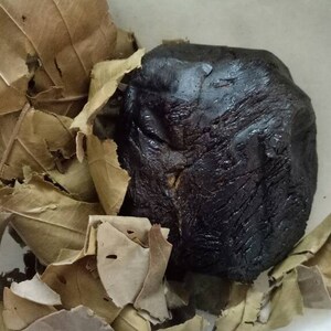 Rasaut Raswanti Gum Berberis Aristata Root Gum - Etsy