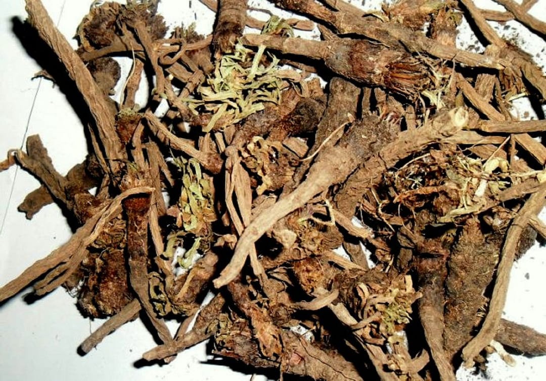 Original Akarkara rare to Find Herb - Etsy