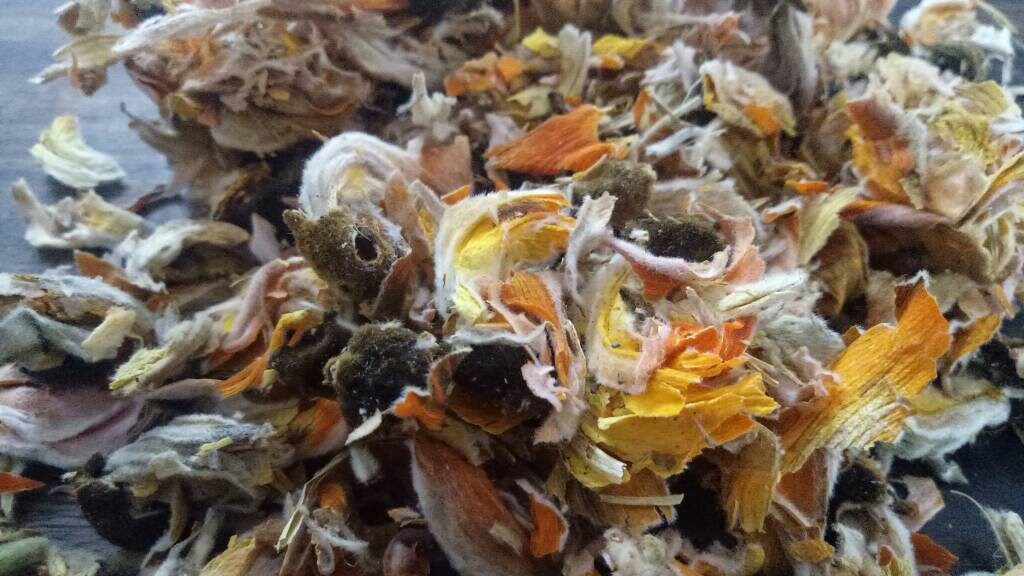 Dried Parrot Tree Flower , Butea Monosperma ,palash Flower ,bastard ...