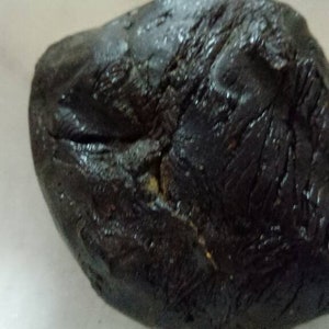 Rasaut Raswanti Gum Berberis Aristata Root Gum - Etsy